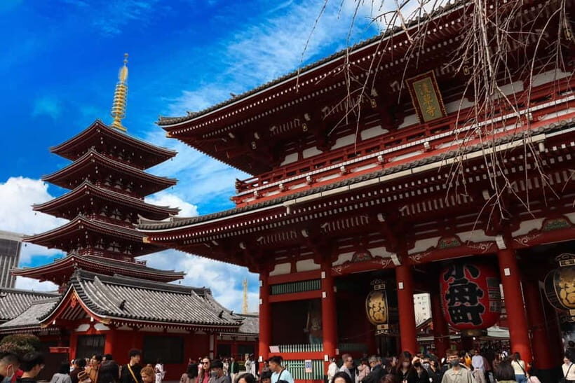 Tokyo Morning Highlights: Shibuya, Asakusa, Meiji Shrine - The Practical Details