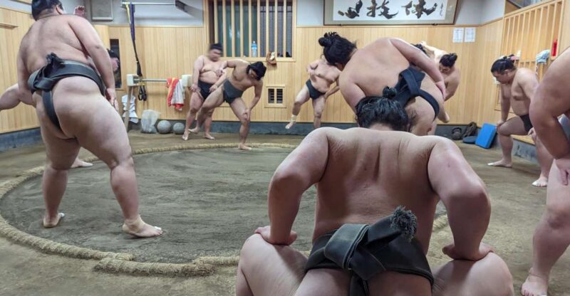 Tokyo: Morning Sumo Practice Viewing - Experience Details