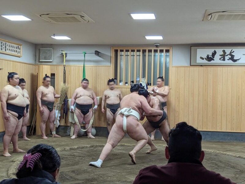 Tokyo: Morning Sumo Practice Viewing - Guide Insights