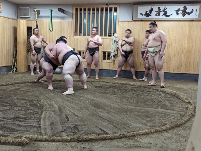 Tokyo: Morning Sumo Practice Viewing - Important Information