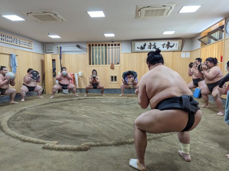 Tokyo: Morning Sumo Practice Viewing - Customer Reviews