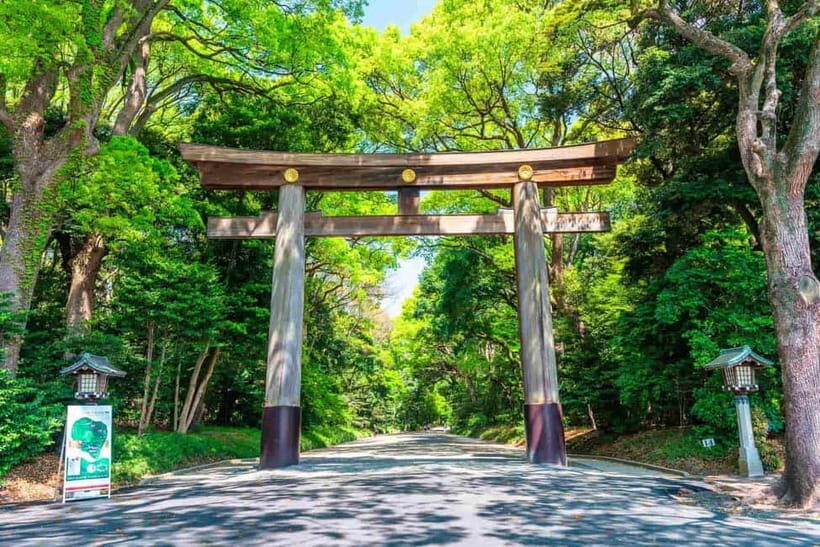 Tokyo Morning Tour: Meiji Shrine, Asakusa & Fish Market - An In-Depth Look at the Tokyo Morning Tour