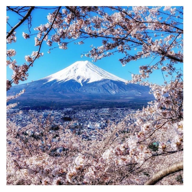 Tokyo: Mount Fuji & 5 Lakes Private Day Tour In Luxury Prado - Personalized Experience