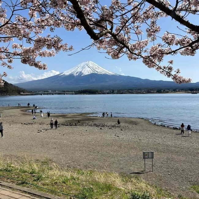 Tokyo: Mount Fuji Affordable Customizable Private 1-Day Tour - Key Points