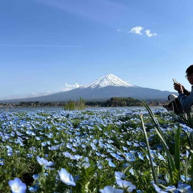 Tokyo: Mount Fuji Affordable Customizable Private 1-Day Tour - An In-Depth Look at What This Tour Offers