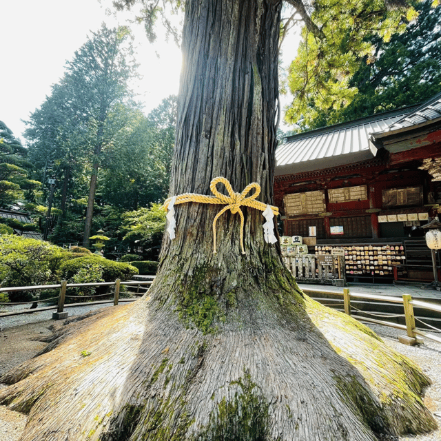 Tokyo: Mount Fuji and Hakone Private Flexible Tour - Chureito Pagoda
