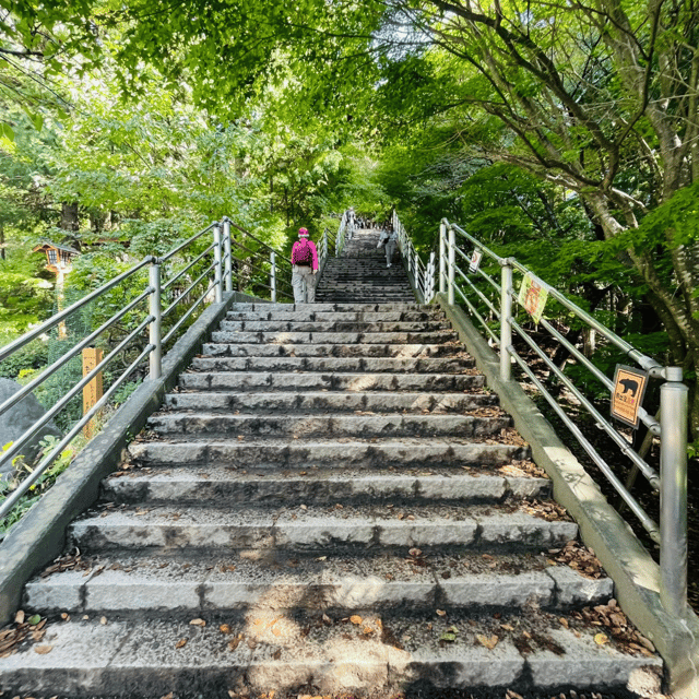 Tokyo: Mount Fuji and Hakone Private Flexible Tour - Hakone Ropeway