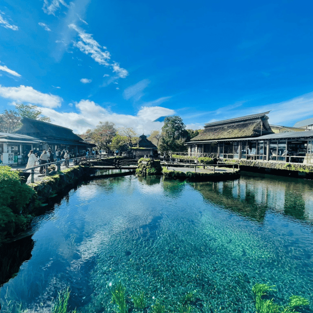 Tokyo: Mount Fuji and Hakone Private Flexible Tour - Pickup and Accessibility