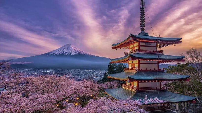 Tokyo: Mount Fuji and Hakone Private Sightseeing Day Tour - Key Points