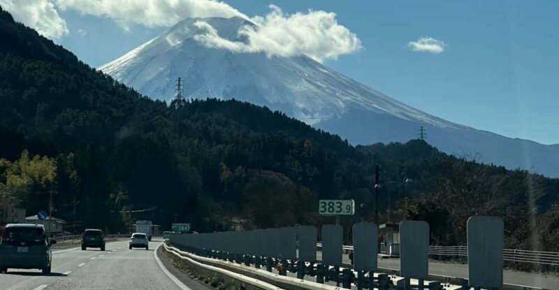 Tokyo: Mount Fuji and Hakone Private Sightseeing Day Tour - Key Points
