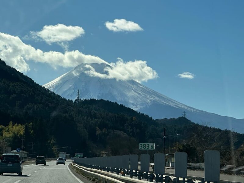 Tokyo: Mount Fuji and Hakone Private Sightseeing Day Tour - Key Stops