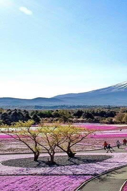 Tokyo: Mount Fuji and Hakone Private Sightseeing Day Tour - Oshino Hakkai