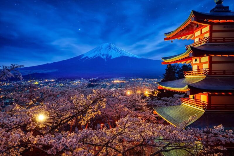 Tokyo: Mount Fuji and Hakone Private Sightseeing Day Trip - Customization Options