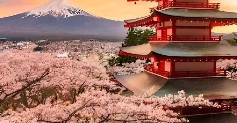 Tokyo: Mount Fuji and Hakone Private Sightseeing Tour - Key Points