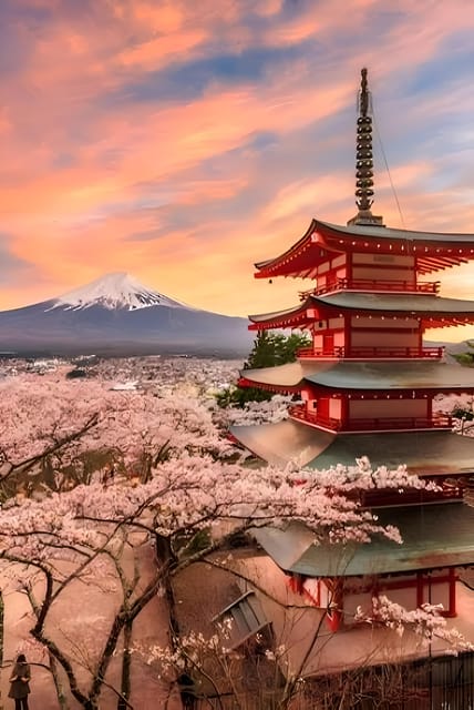 Tokyo: Mount Fuji and Hakone Private Sightseeing Tour - Pickup and Drop-off Locations