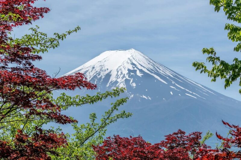 Tokyo: Mount Fuji and Lake Kawaguchi Tour With Pickup - Booking and Cancellation Policy
