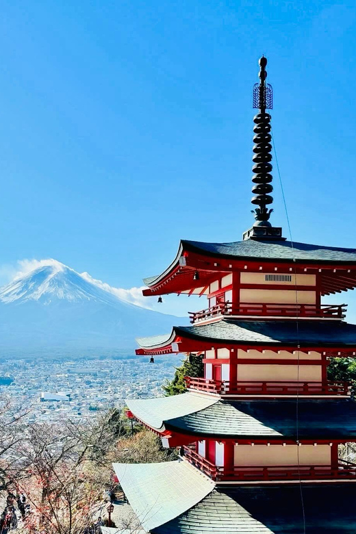 Tokyo: Mount Fuji Classic Private Day Tour - Pickup and Drop-off Locations