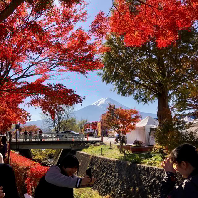 Tokyo: Mount Fuji Classic Private Day Tour - Accessibility and Packing