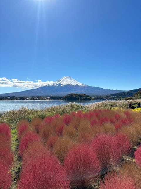 Tokyo: Mount Fuji Classic Private Day Tour - Weather and Seasonal Considerations