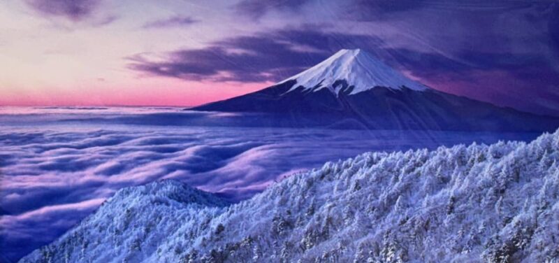 Tokyo: Mount Fuji Day Trip With Pagoda and Lake Cruise - Transportation and Pickup