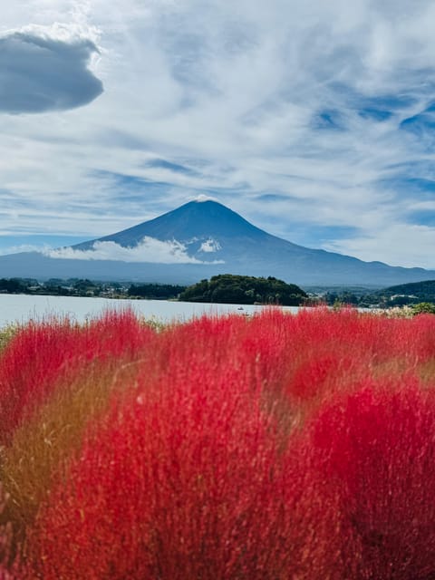 Tokyo: Mount Fuji Day Trip With Pagoda and Lake Cruise - Customer Experience and Reviews
