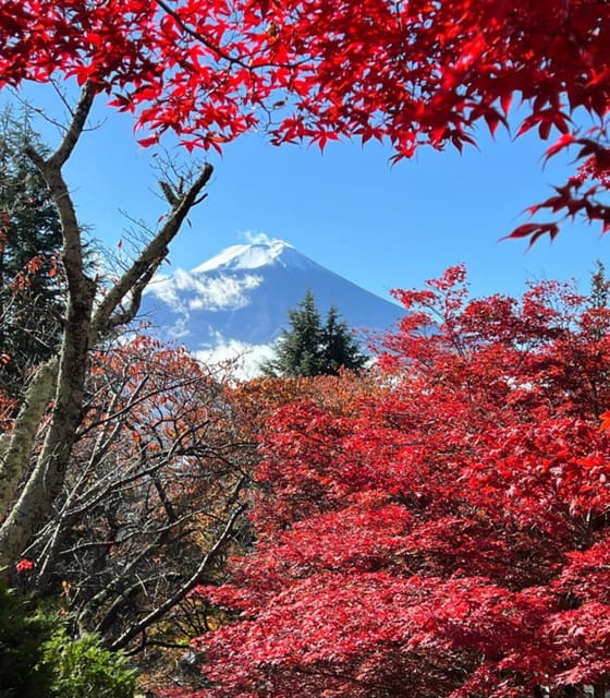Tokyo: Mount Fuji Day Trip With Pagoda and Lake Cruise - Why Choose This Tour