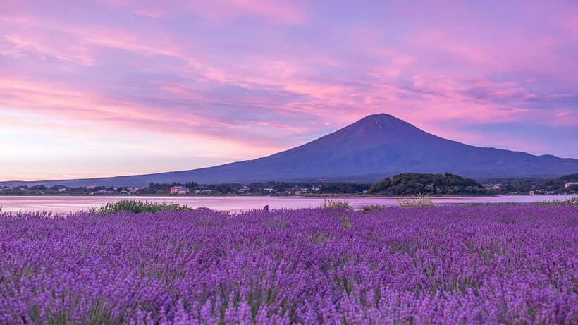 Tokyo: Mount Fuji Day Trip with Scenic & Local Stops - Key Points