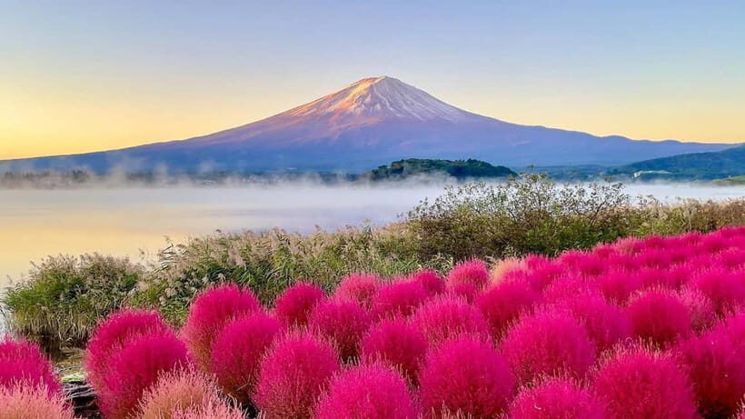 Tokyo: Mount Fuji Day Trip with Scenic & Local Stops - Who Would Enjoy This Tour?