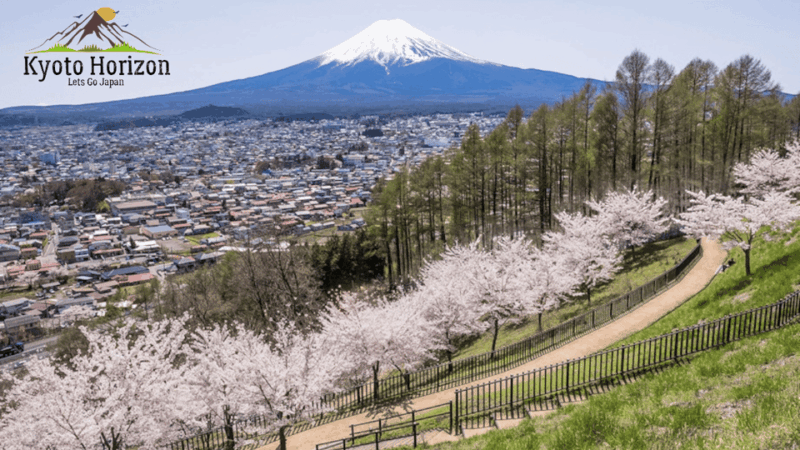 Tokyo: Mount Fuji Five Lakes Hakone Ropeway Guided Day Trip - Itinerary Highlights