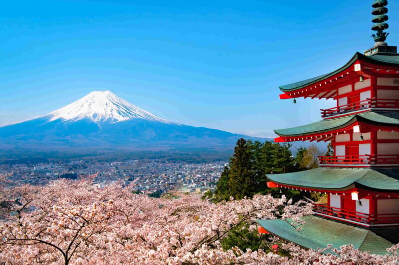 Tokyo Mount Fuji Full Day Customize Private Tour By Alphard - Transportation and Inclusions