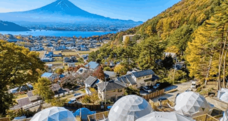 Tokyo Mount Fuji Full Day Customize Private Tour By Alphard - Important Information
