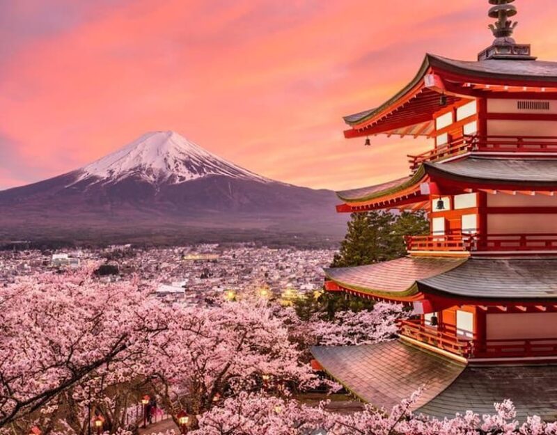 Tokyo: Mount Fuji Full Day Private Sightseeing Guided Tour - Key Points