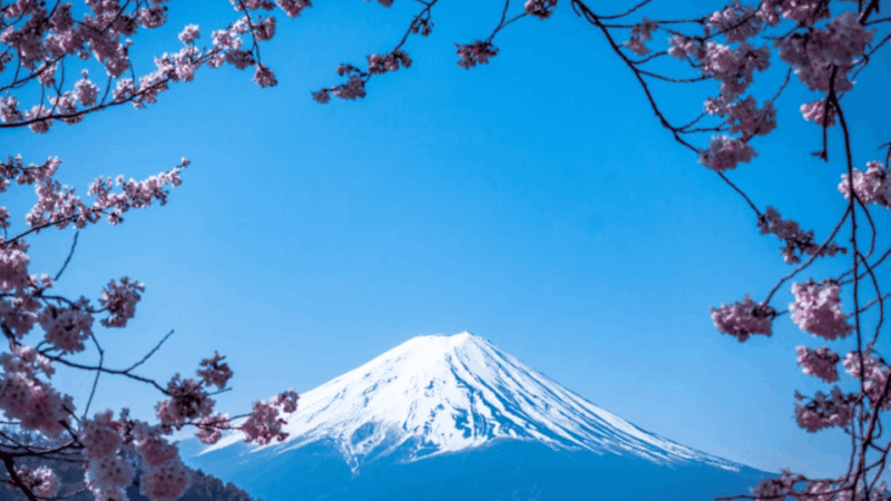 Tokyo: Mount Fuji & Hakone Private Customizable Day Tour - Itinerary Highlights