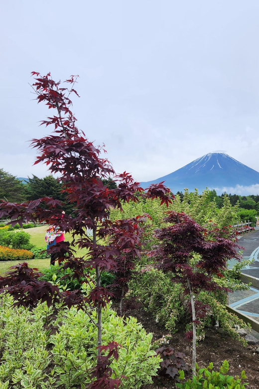 Tokyo: Mount Fuji & Hakone Private Customizable Day Tour - Inclusions and Important Information