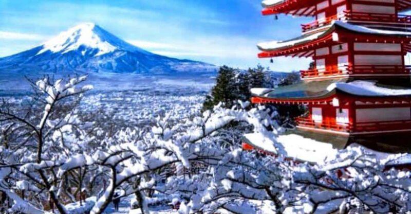 Tokyo: Mount Fuji & Hakone Private Customizable Day Tour - Customer Feedback