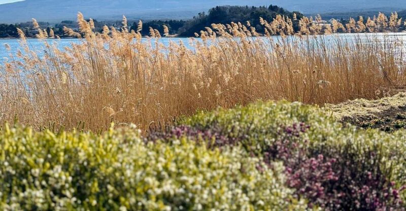 Tokyo: Mount Fuji & Hakone Private Customized Guided Trip - Transportation Details