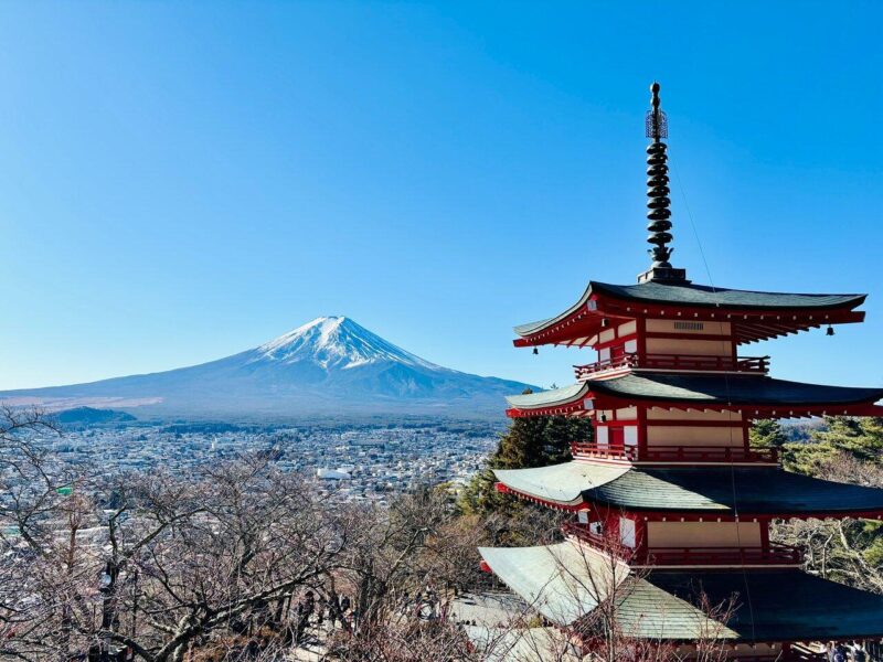 Tokyo: Mount Fuji & Hakone Private Customized Guided Trip - Pickup Locations