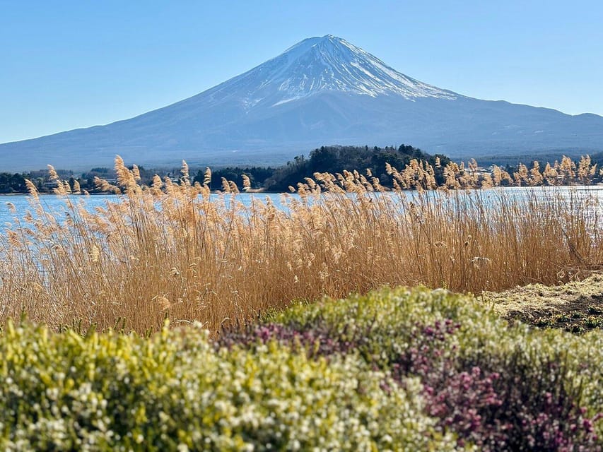 Tokyo: Mount Fuji & Hakone Private Customized Guided Trip - Drop-off Locations