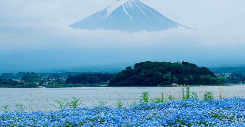 Tokyo: Mount Fuji & Hakone Private Customized Guided Trip - Optional Stops