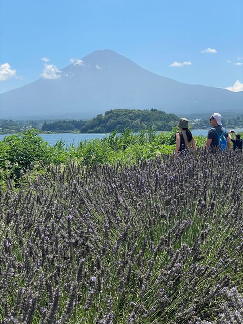 Tokyo: Mount Fuji & Hakone Private Day Tour - Key Points