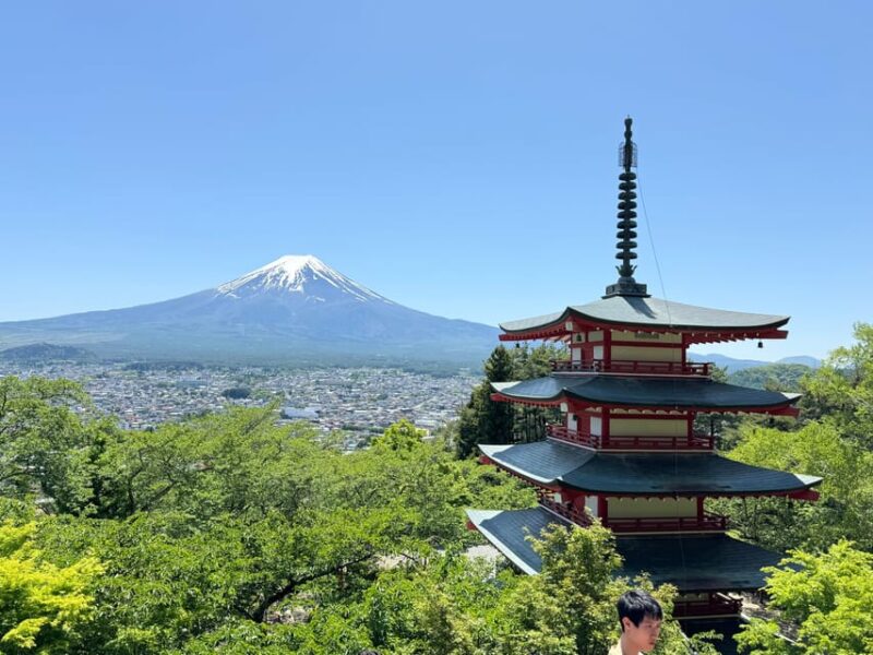 Tokyo: Mount Fuji & Hakone Private Day Tour - Getting There