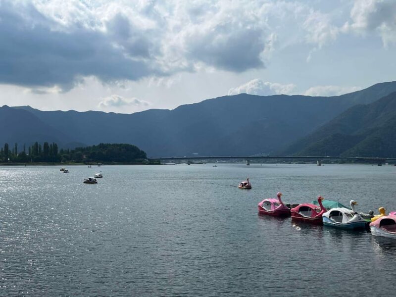 Tokyo: Mount Fuji & Hakone Private Tour - Transportation and Itinerary