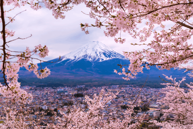 Tokyo: Mount Fuji Highlights Tour With Boat Cruise & Ropeway - Transportation and Guide