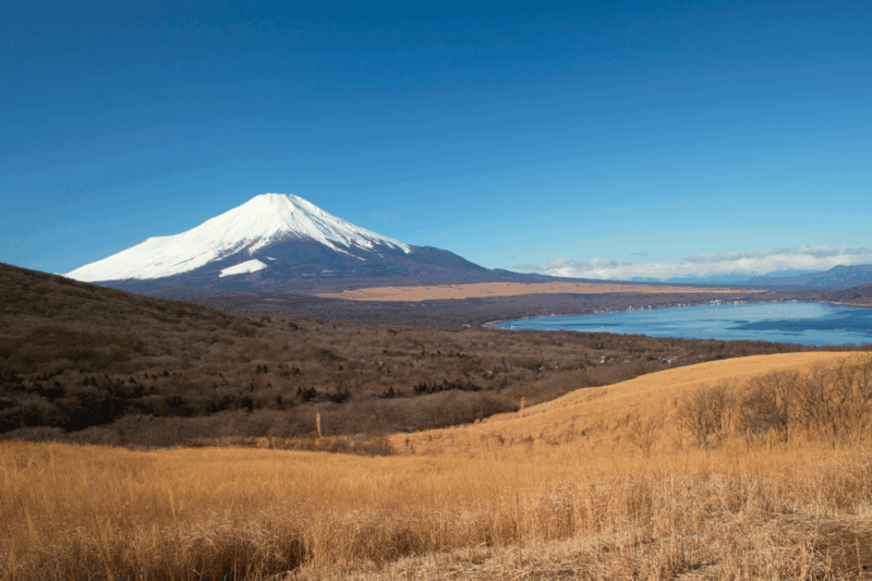 Tokyo: Mount Fuji Highlights Tour With Boat Cruise & Ropeway - Inclusions