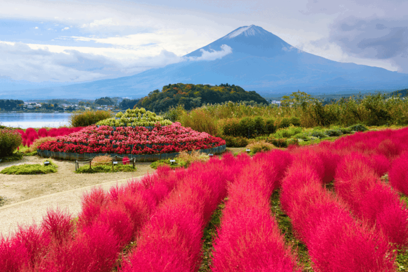 Tokyo: Mount Fuji Highlights Tour With Boat Cruise & Ropeway - Free Cancellation and Reserve Now & Pay Later