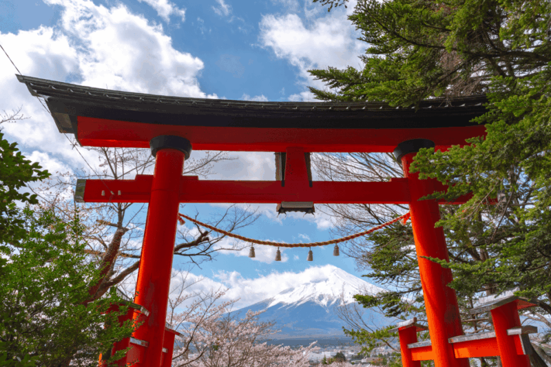 Tokyo: Mount Fuji Highlights Tour With Kawaguchi Lake Cruise - Key Points