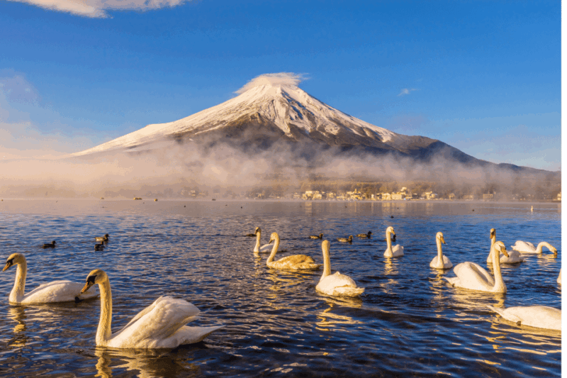 Tokyo: Mount Fuji Highlights Tour With Kawaguchi Lake Cruise - Itinerary Highlights
