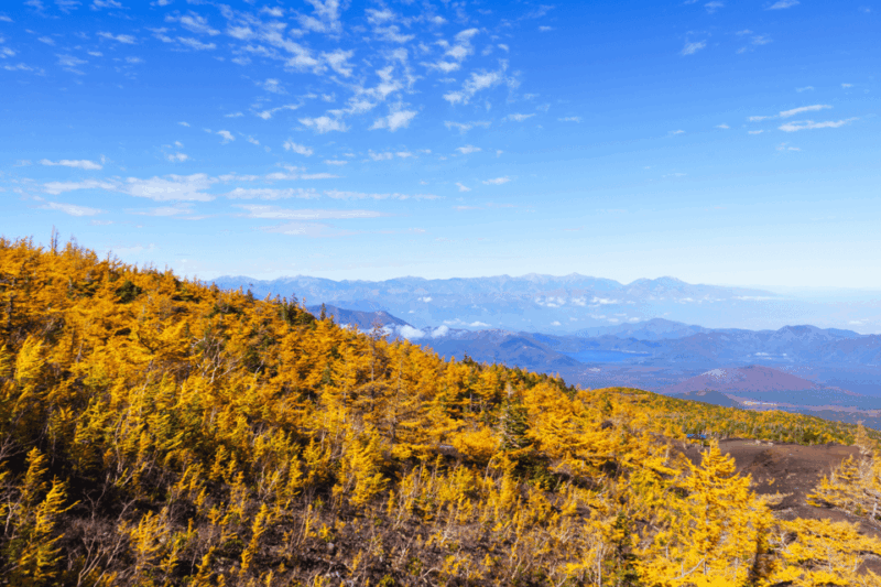 Tokyo: Mount Fuji Highlights Tour With Kawaguchi Lake Cruise - Strolling Through Oishi Park