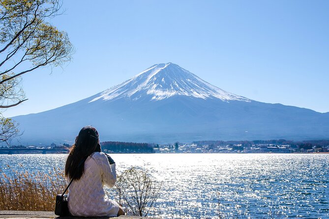 Tokyo: Mount Fuji, Kamakura, Lake Ashi & Big Buddha 4 in 1 day - Key Points