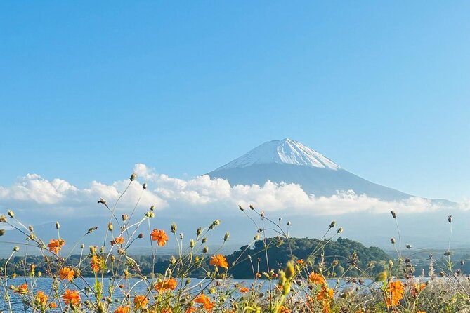 Tokyo: Mount Fuji One Day Private Tour by Car With English Guide - Key Points